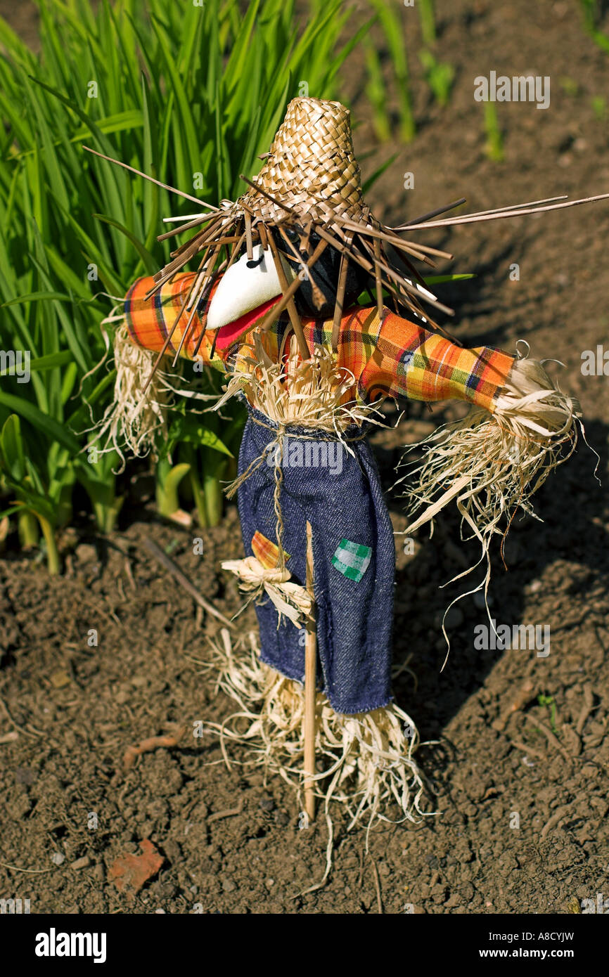 Wray scarecrow festival hi-res stock photography and images - Alamy
