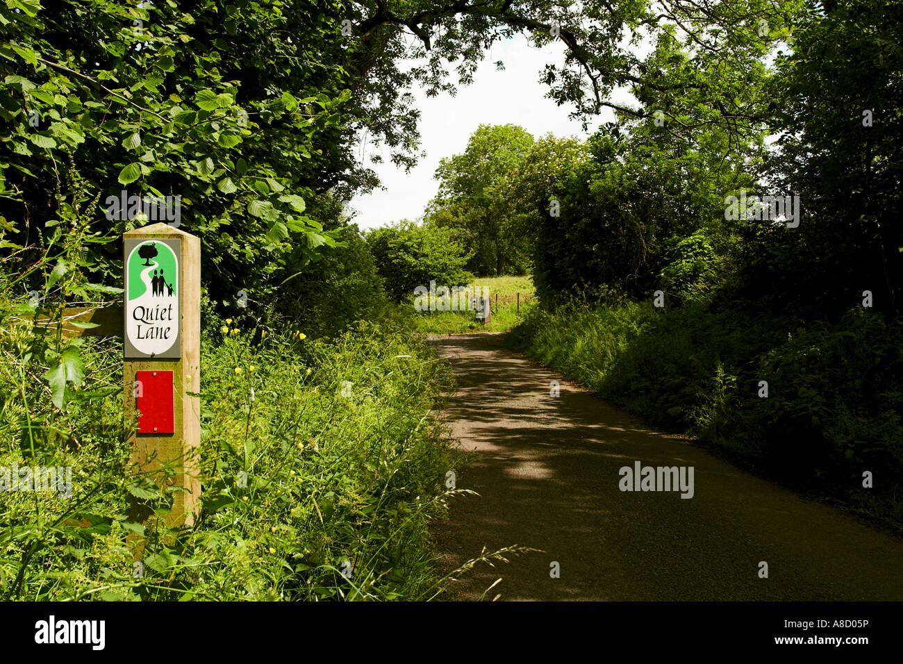 Pedestrian lane sign hi-res stock photography and images - Alamy