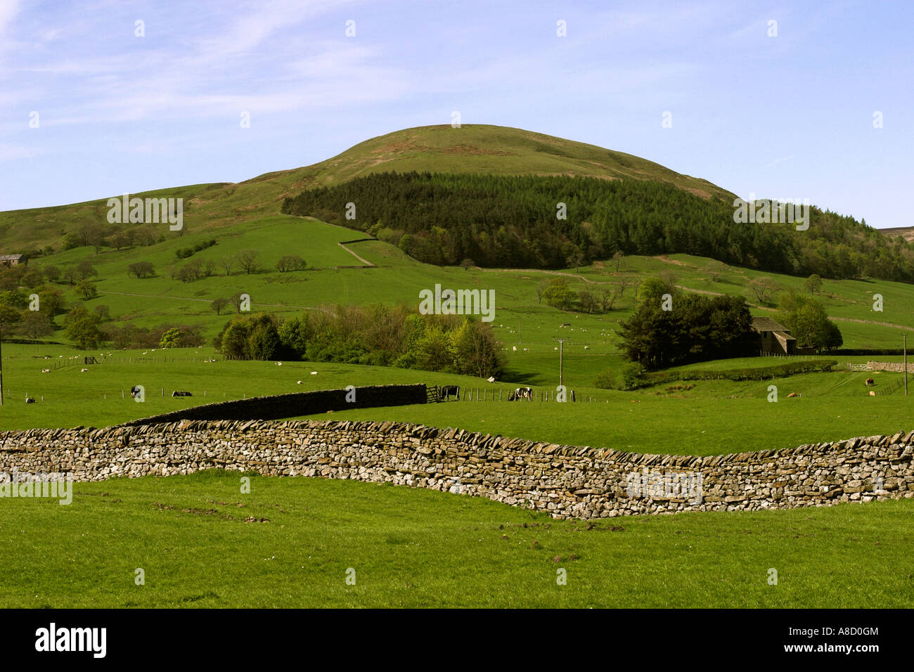 Rural farmland and drydtone wall in the Hodder Valley, Forest of ...