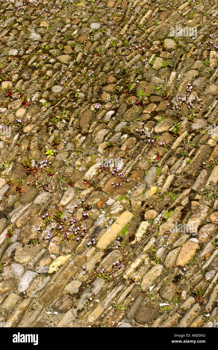 Historic pebbled pavement and roadside verge, a distinctive feature of ...