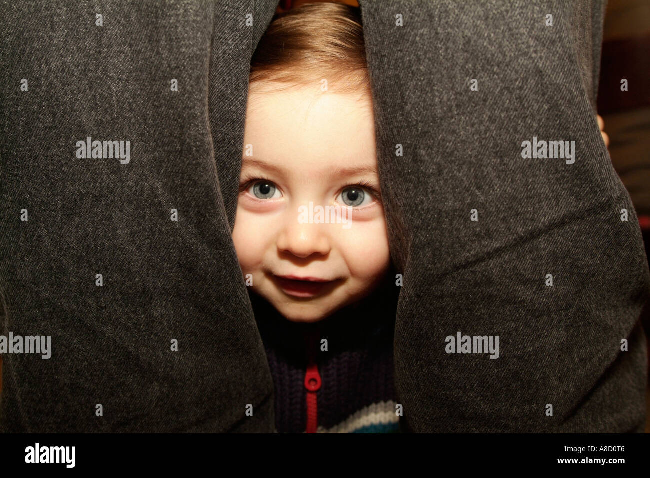 One year old kid looking through his father legs Stock Photo - Alamy