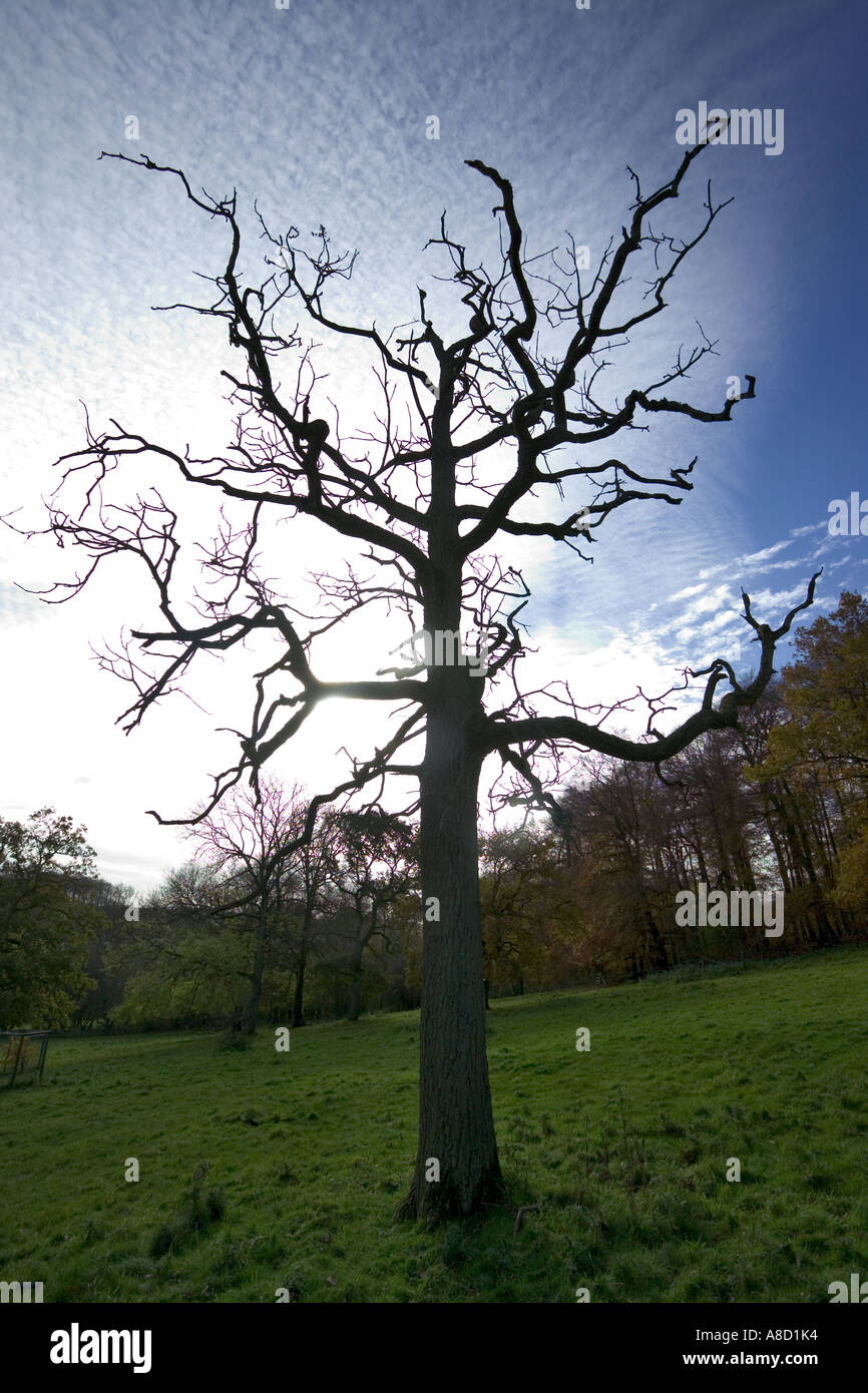 South gloucestershire silhouette hi-res stock photography and images ...