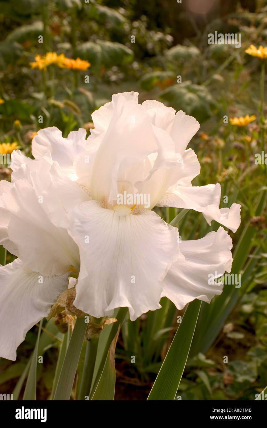 Eternal bliss hi-res stock photography and images - Alamy