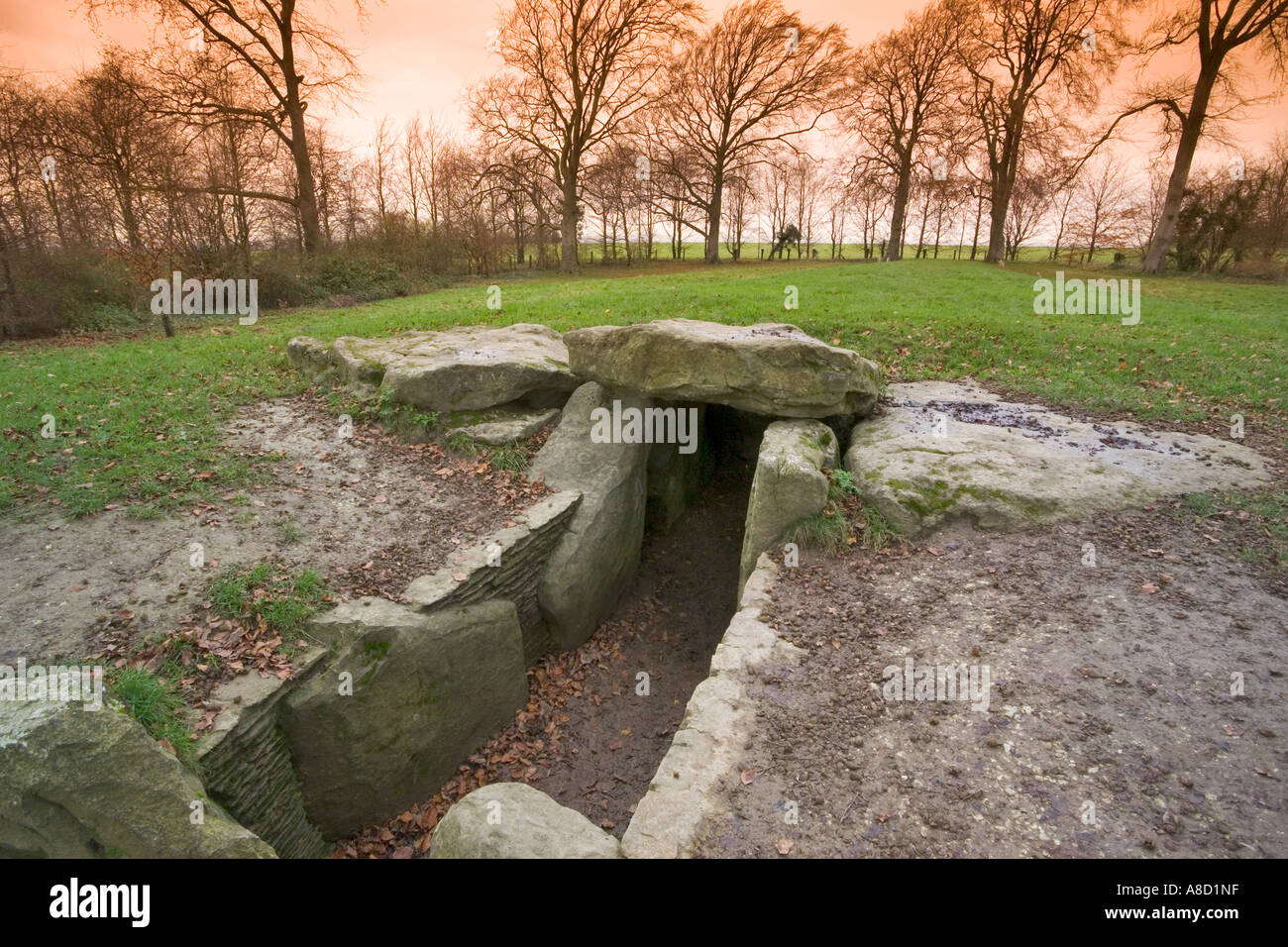 England tumuli trees hi-res stock photography and images - Alamy