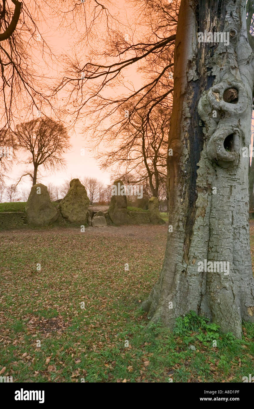 Long barrow tumulus tumuli hi-res stock photography and images - Alamy