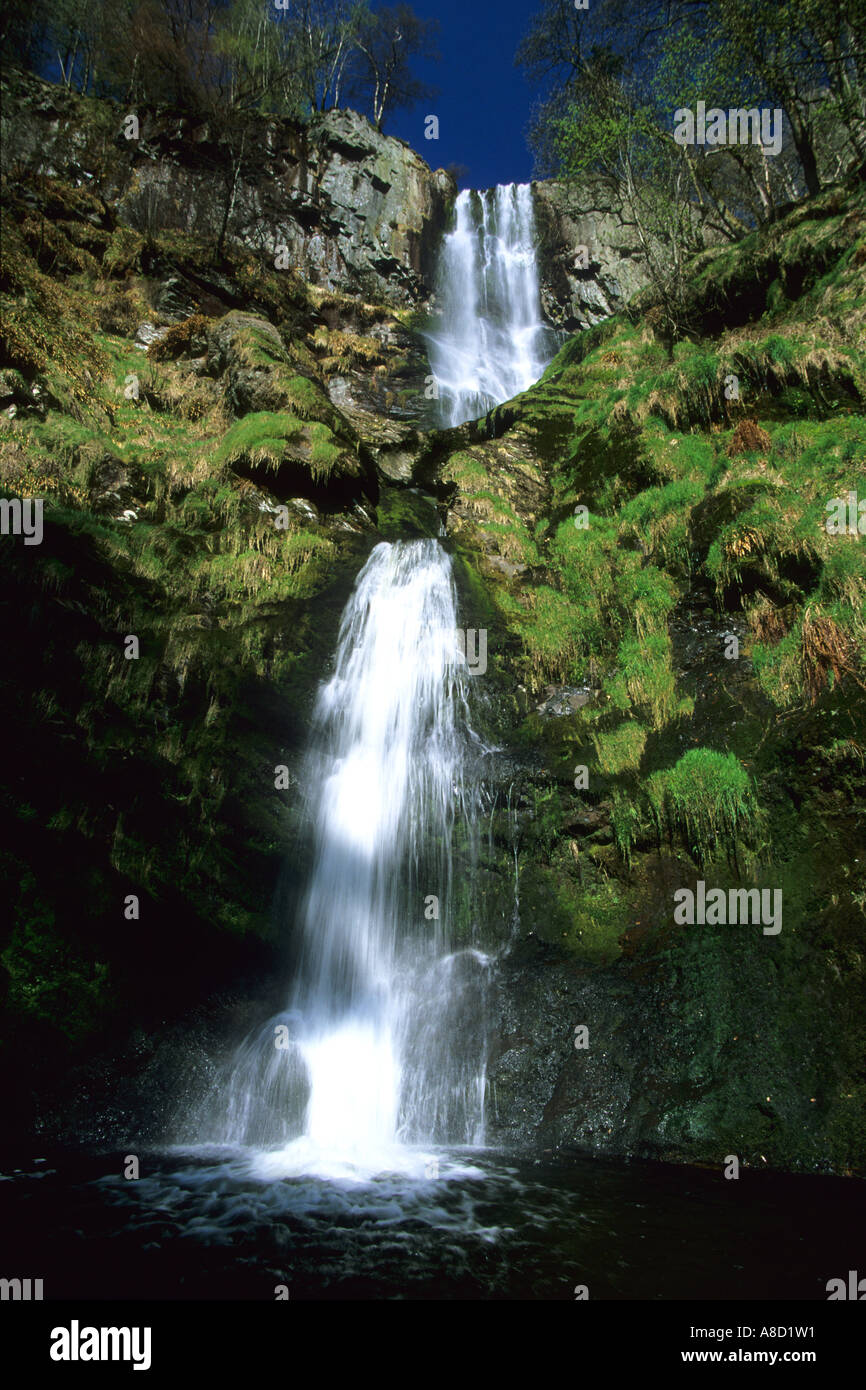 Rhyadr hi-res stock photography and images - Alamy