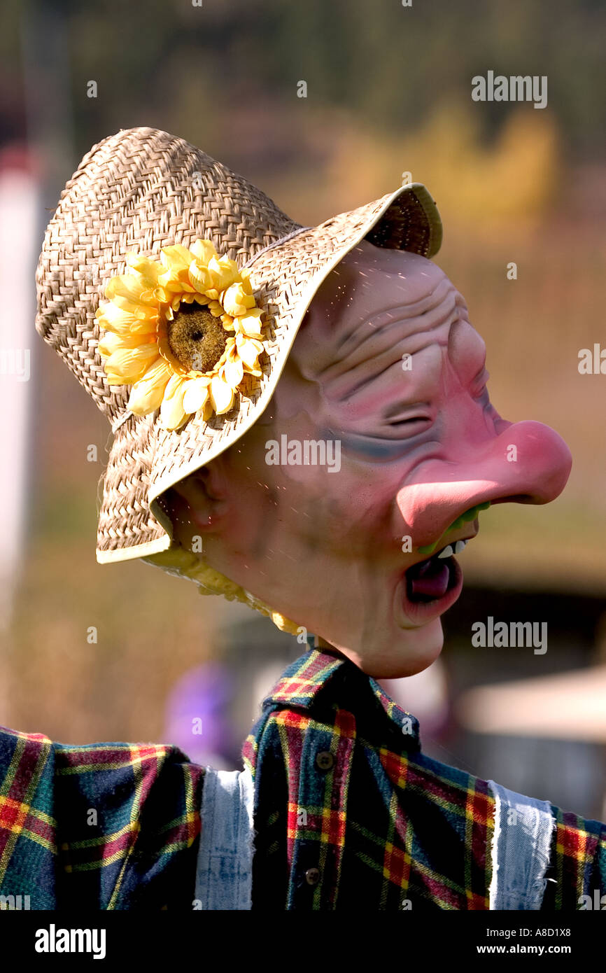 Scarecrow wearing a ugly mask and straw hat Stock Photo - Alamy