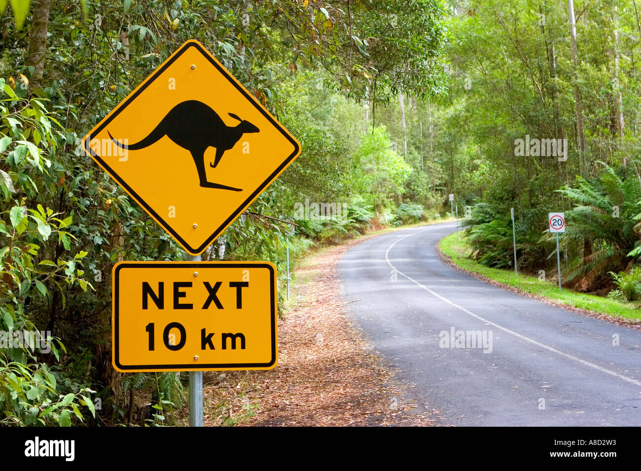 Kangaroo road sign Stock Photo - Alamy