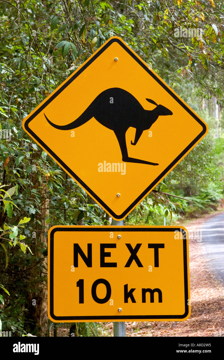 Kangaroo road sign Stock Photo - Alamy