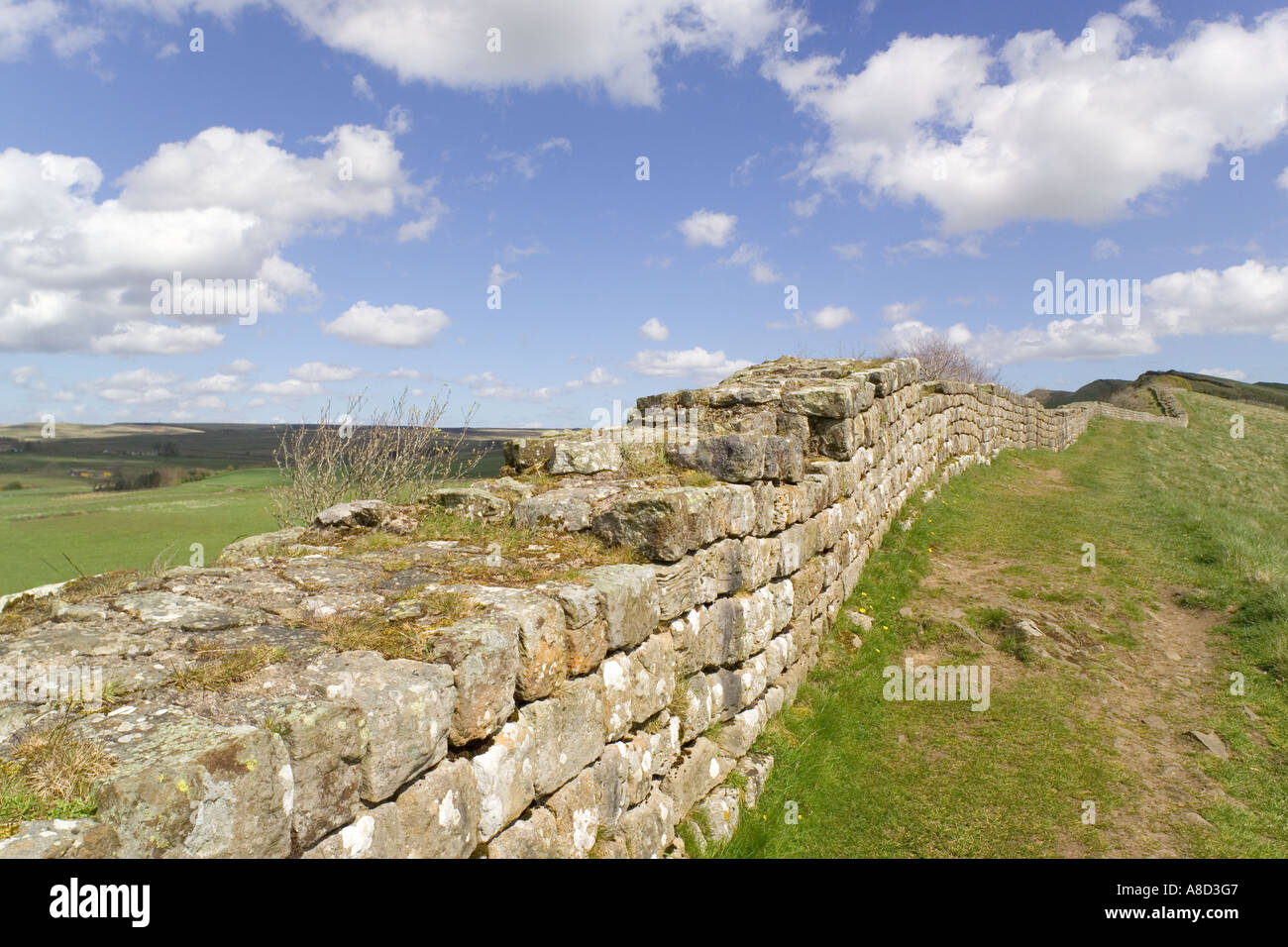 Hadrians Wall at Cawfield Crags near Haltwhistle, Northumberland Stock ...