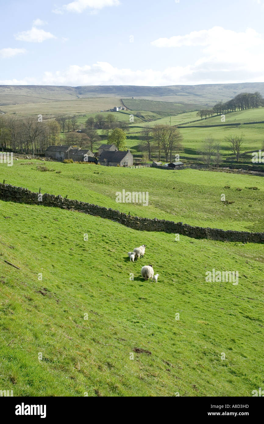 Allenheads hi-res stock photography and images - Alamy