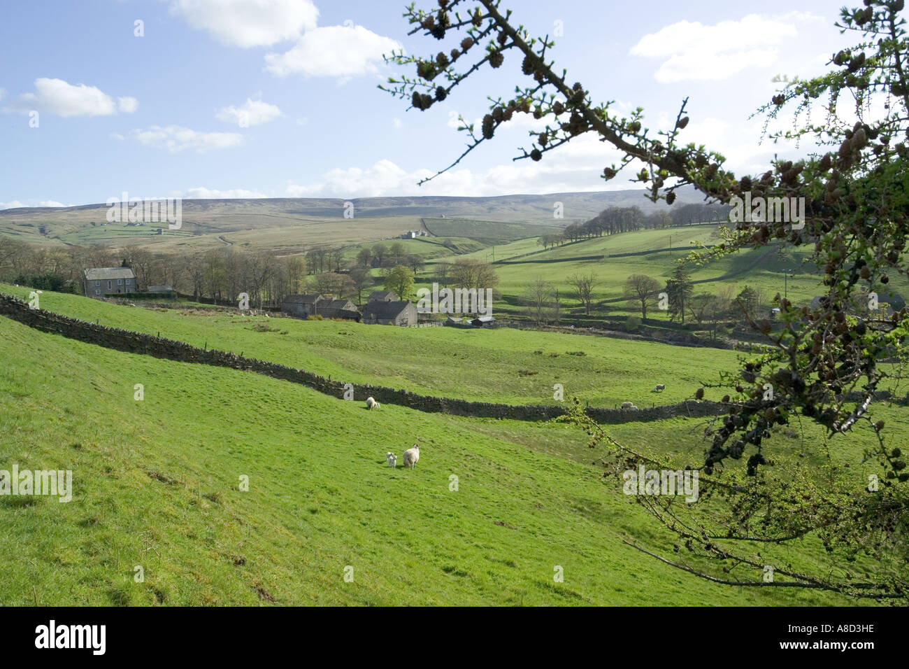 Allenheads hi-res stock photography and images - Alamy