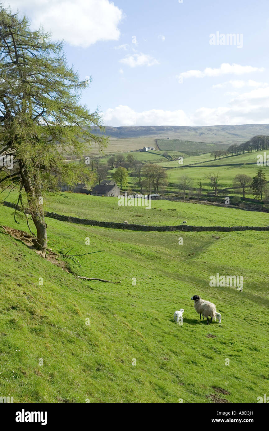 Allenheads hi-res stock photography and images - Alamy