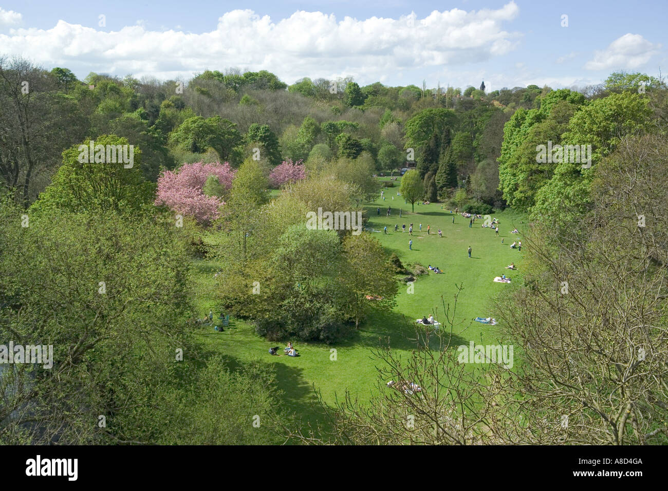 Jesmond park newcastle hi-res stock photography and images - Alamy