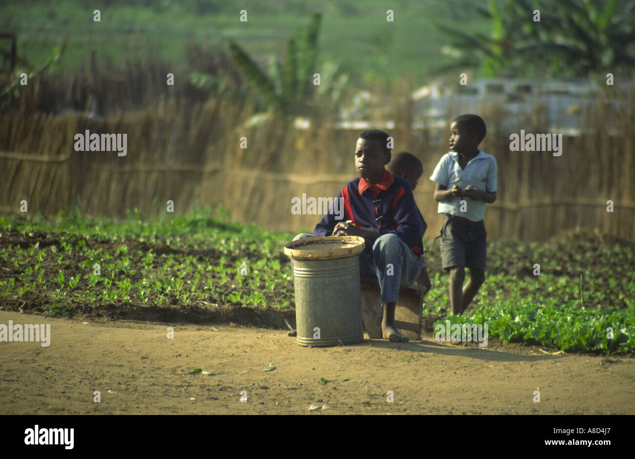Child selling peanuts Maputo Mozambique Stock Photo - Alamy