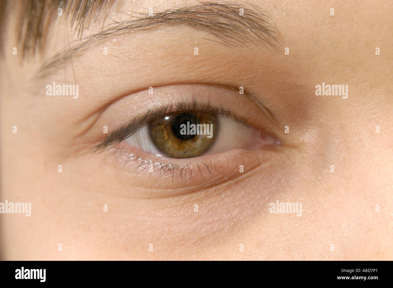 Eye Close up of girls face Stock Photo - Alamy
