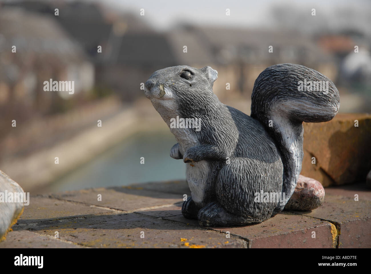 Stone squirrel hi-res stock photography and images - Alamy