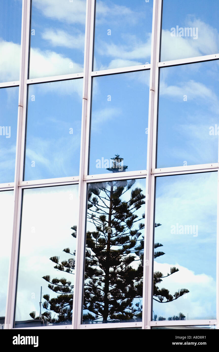 Glass Window Reflection