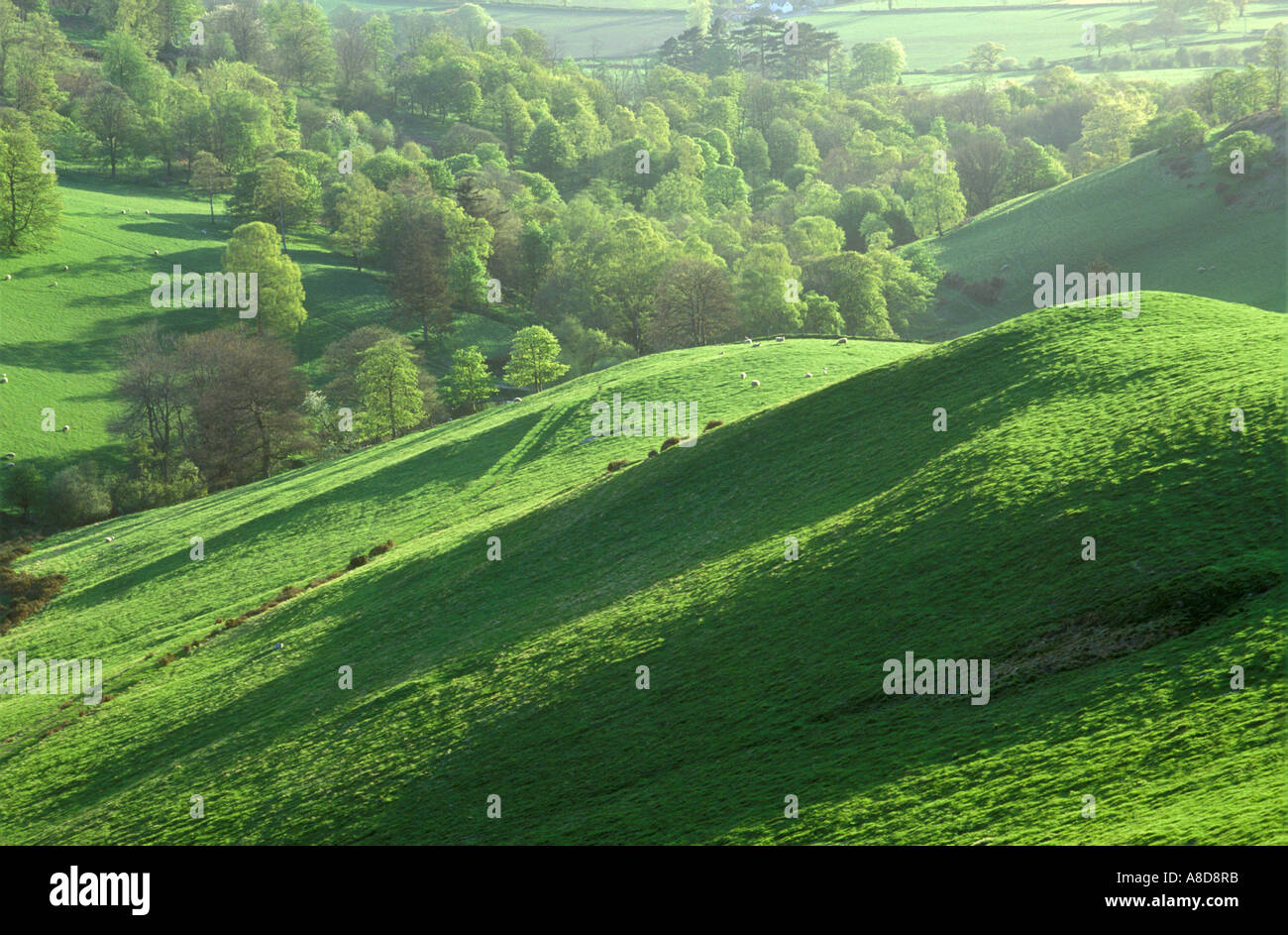 Clwydian range hi-res stock photography and images - Alamy