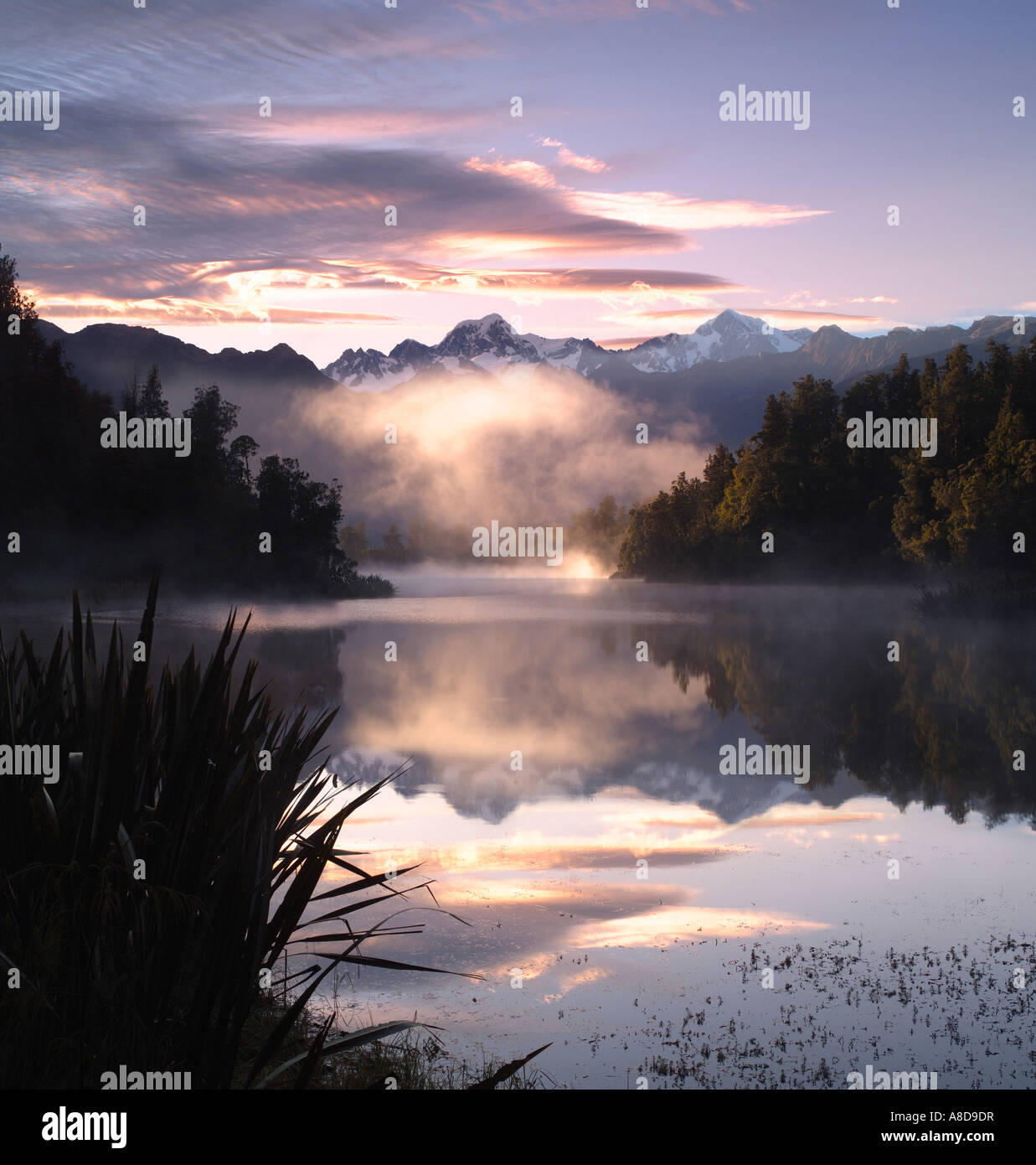 Dawn over Lake Matheson, New Zealand Stock Photo - Alamy