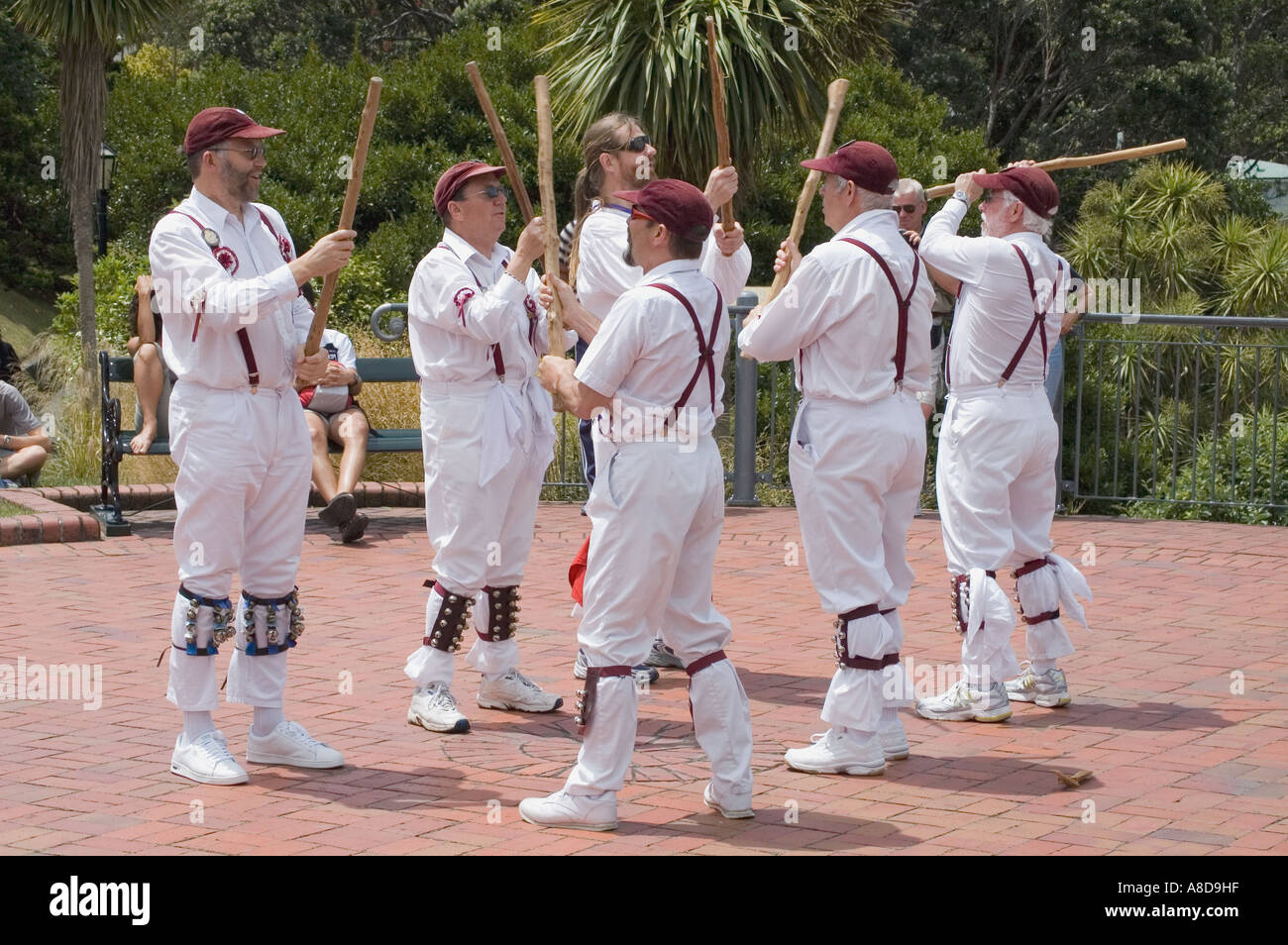 Morris dancers bells hi-res stock photography and images - Alamy