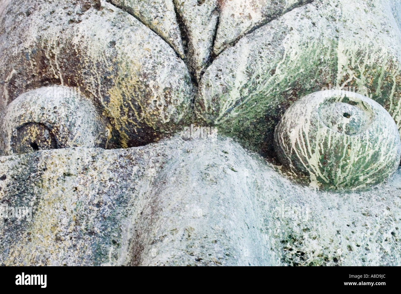 wild staring stone eyes sculpture in wellington north island new ...