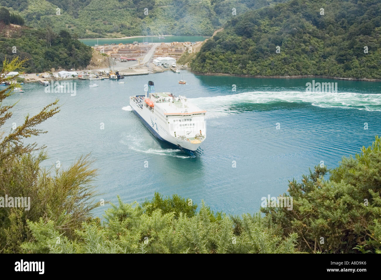 Passenger ferry turning round to reverse into port at Picton South ...
