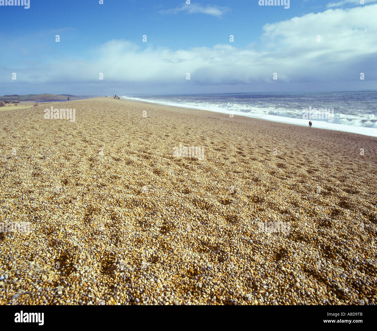 Chesil Beach, Dorset Stock Photo - Alamy