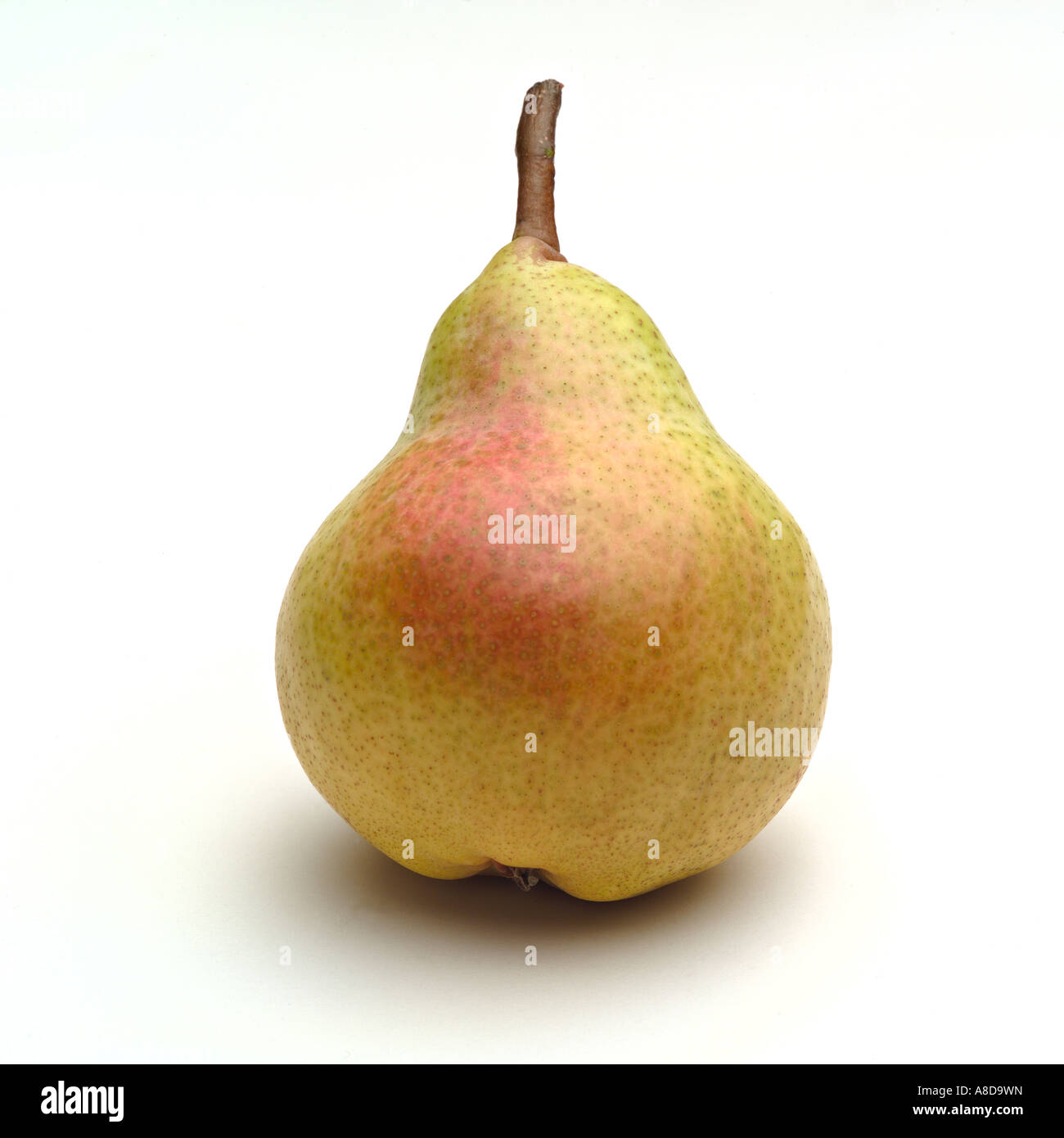 African pear hi-res stock photography and images - Alamy
