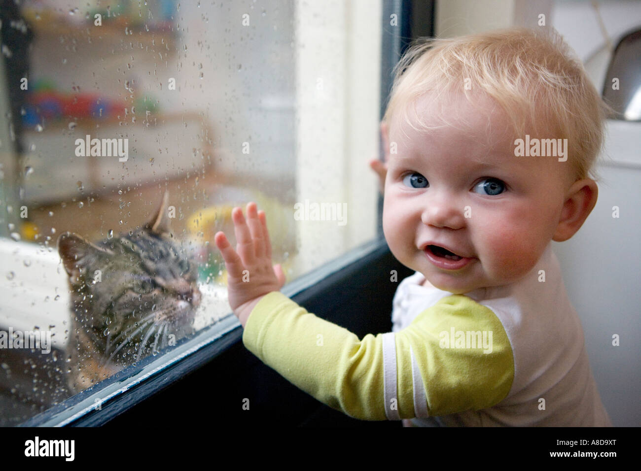 Baby is seeing the cat outside in the rain Stock Photo - Alamy