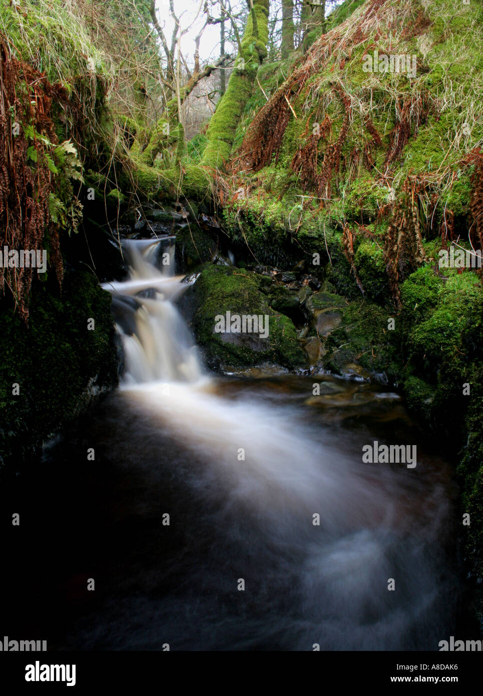 Colintraive Stock Photos & Colintraive Stock Images - Alamy