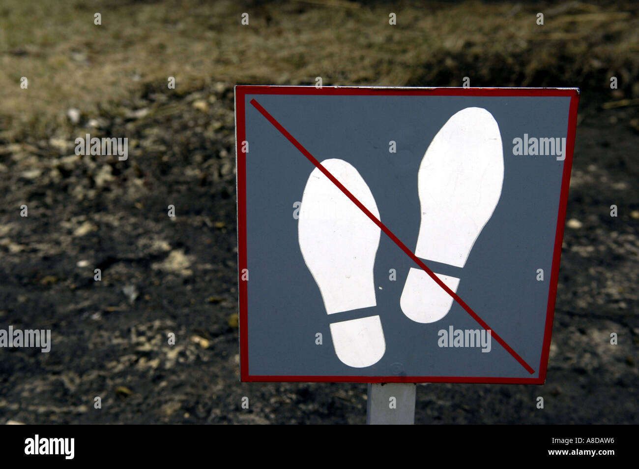 do not walk on the grass footprints warning symbolwindow reflection ...