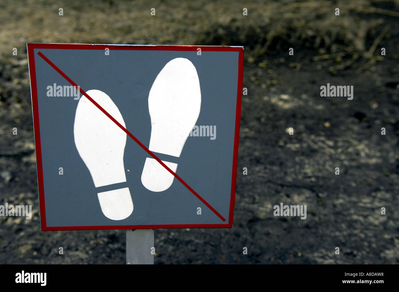 do not walk on the grass footprints warning symbolwindow reflection ...