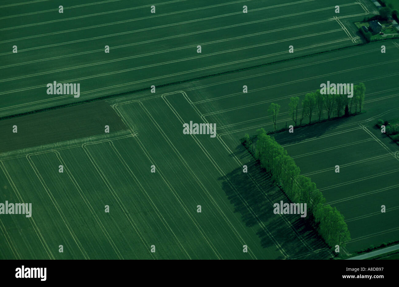 tramlines in wheat fields from the air Stock Photo - Alamy