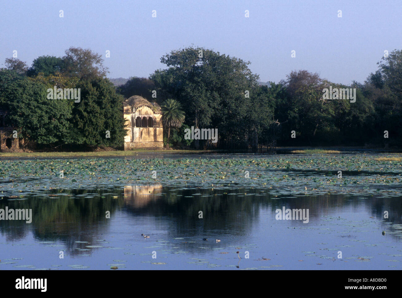 Jogi Mahal forest rest house Ranthambhore National Park India Stock ...