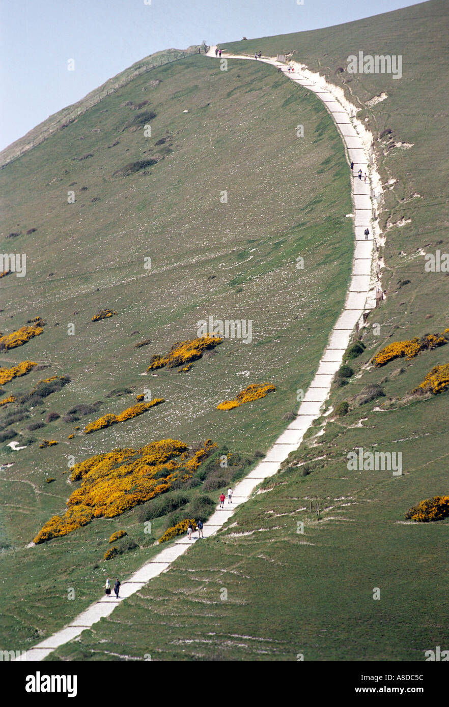 Long winded hi-res stock photography and images - Alamy