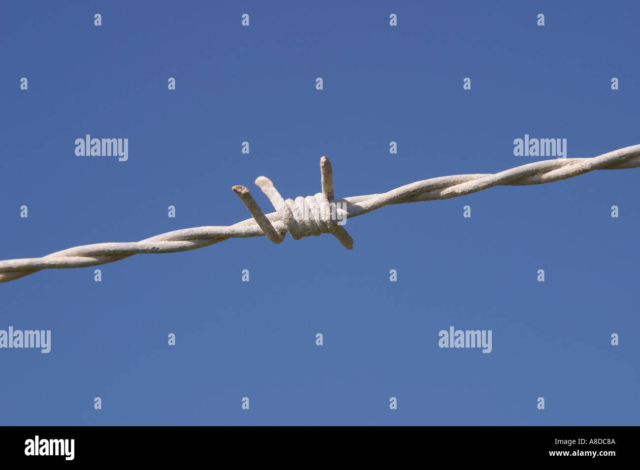Prison wire or jail wire hi-res stock photography and images - Alamy
