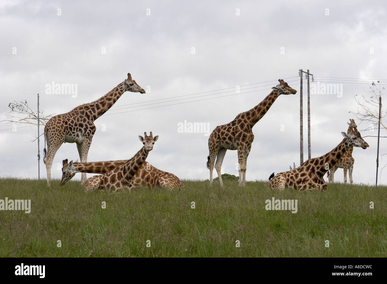 Visit fota hi-res stock photography and images - Alamy