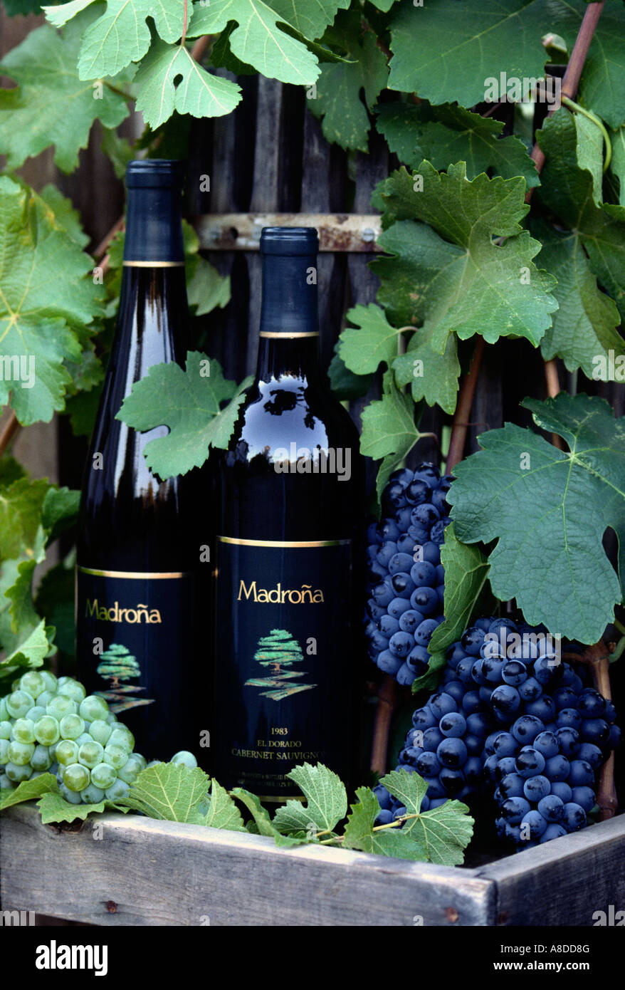 CABERNET SAUVIGNON WINE BOTTLE display at MADRONA VINEYARDS CAMINO ...