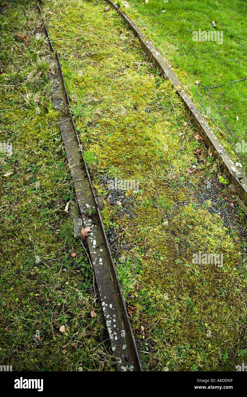 Iron tram rails used for transporting limestone to lime kilns at Goytre ...