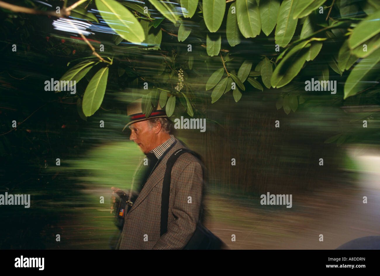 A gentleman horticultural visitor ducks under some foliage at the Lost ...