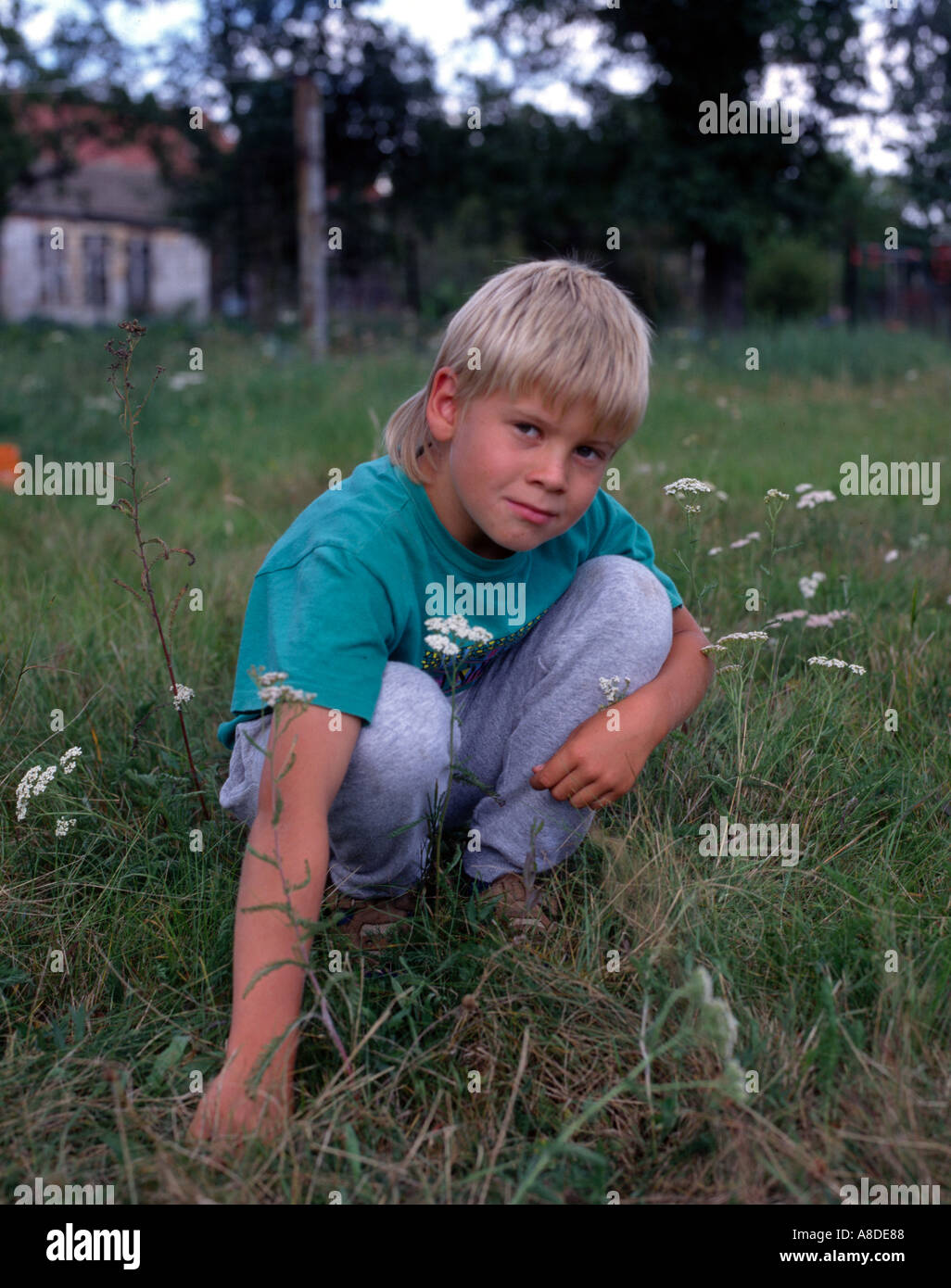 Reserved boy hi-res stock photography and images - Alamy