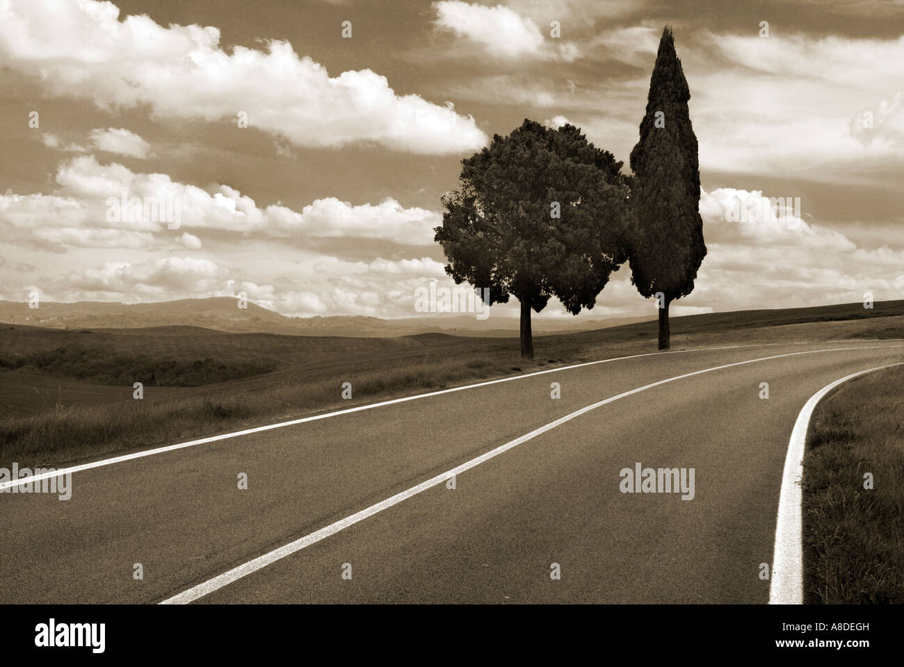 Road and Trees, Tuscany, Italy Stock Photo - Alamy