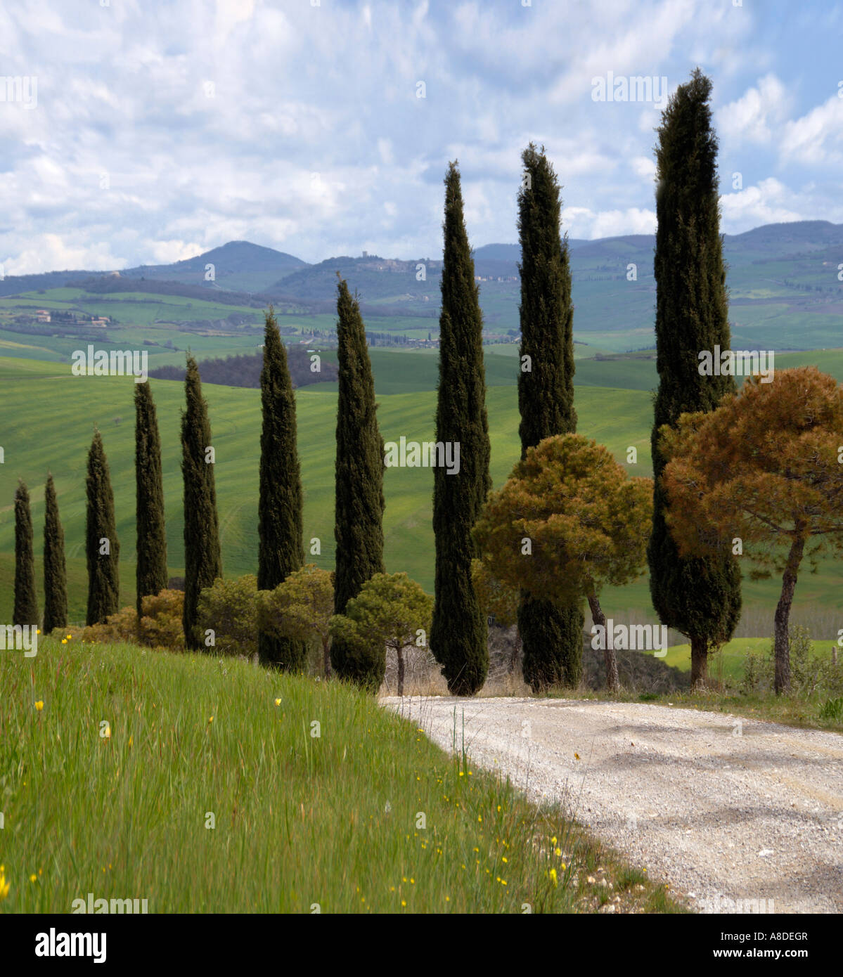 Strada Bianca, Val d'Orcia, Tuscany Stock Photo - Alamy