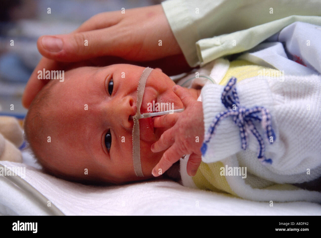 Premature infant ventilator hi-res stock photography and images - Alamy