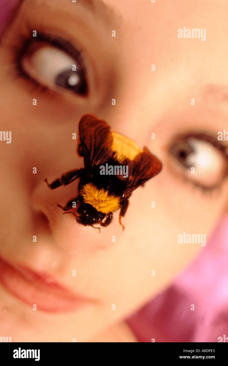 Bee nose hi-res stock photography and images - Alamy