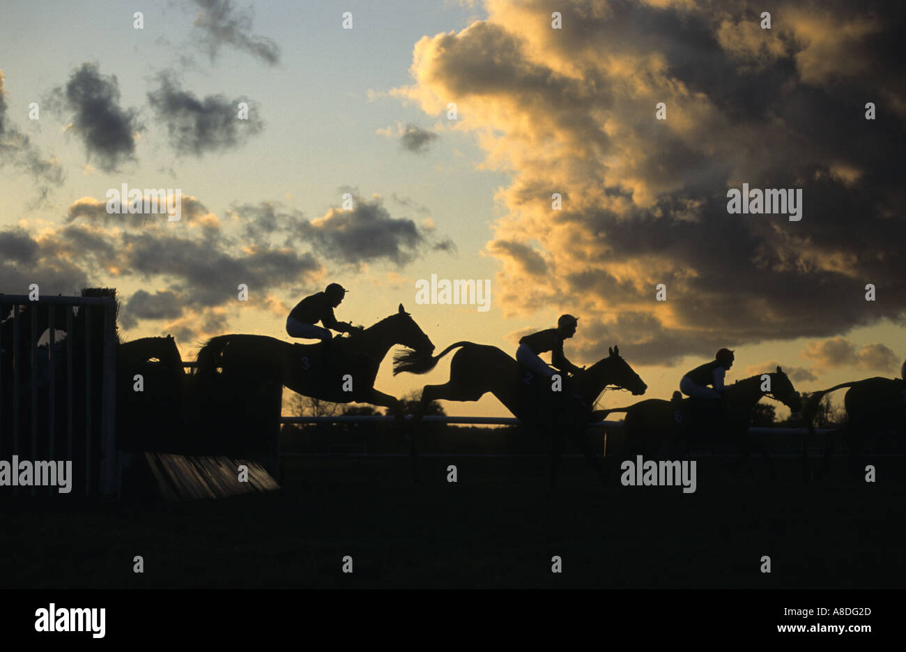 Races sunset silhouette hi-res stock photography and images - Alamy