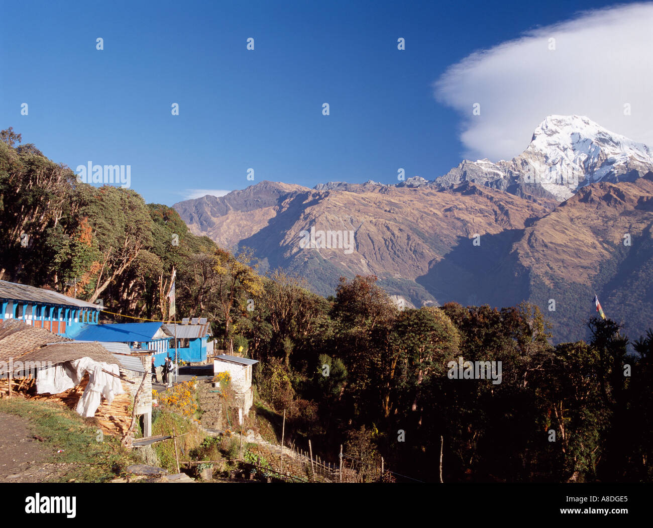 Tadapani Annapurnas Nepal Asia Stock Photo - Alamy