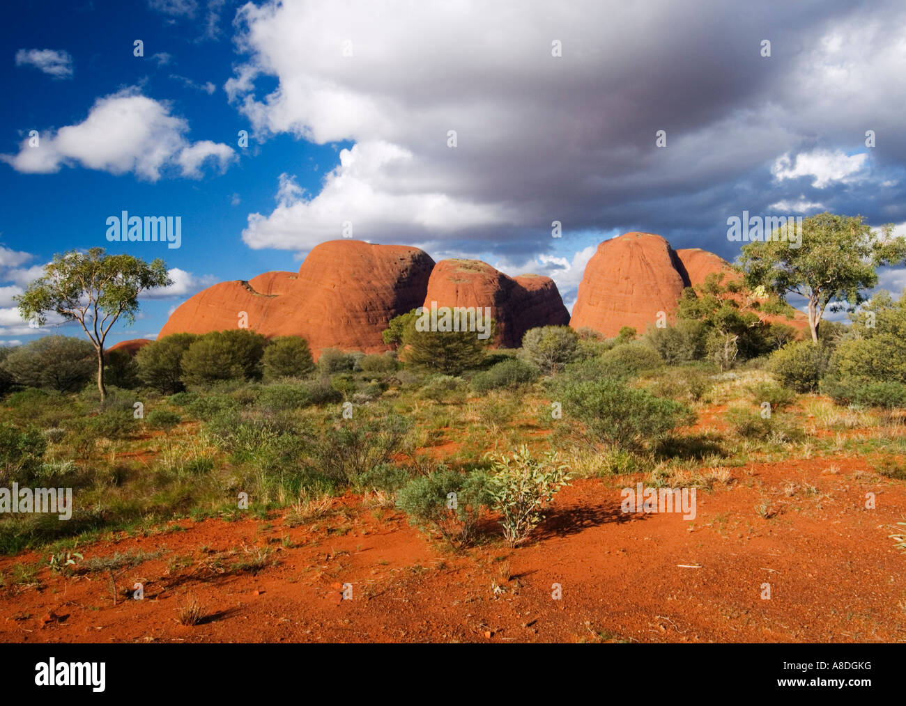 The Olgas in Kata Tjuta National Park Northern Territories Australia ...