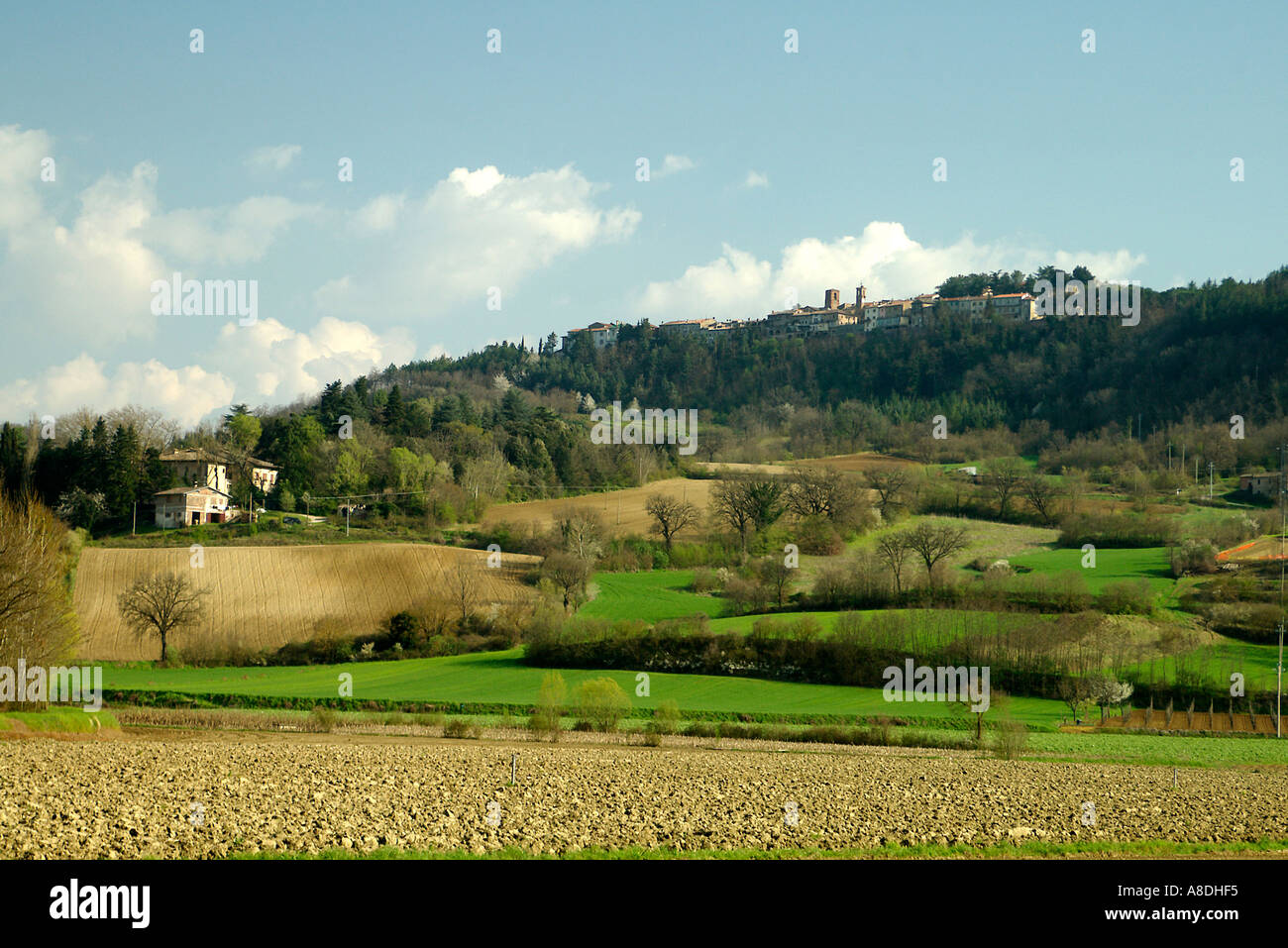 Farmed hillside in Umbria with the medieval town of Citerna on the ...